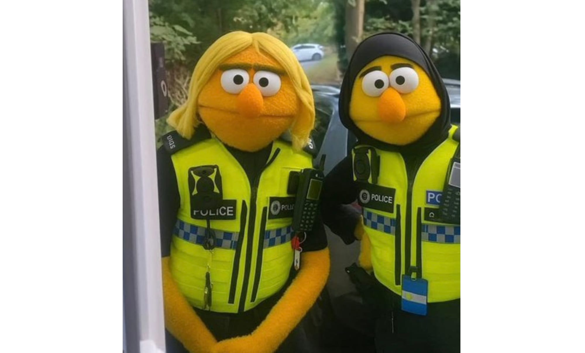 Images + Memes • 504