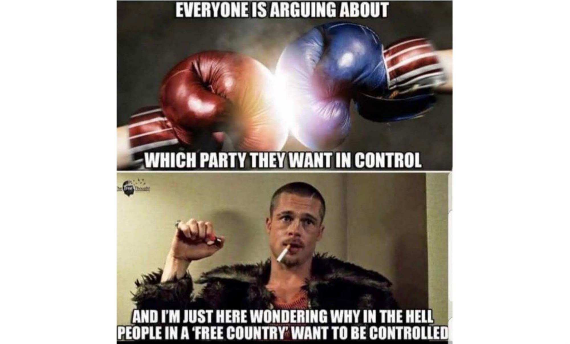 Images + Memes • 517