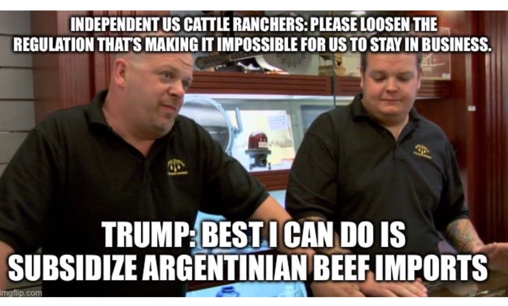 Images + Memes • 519