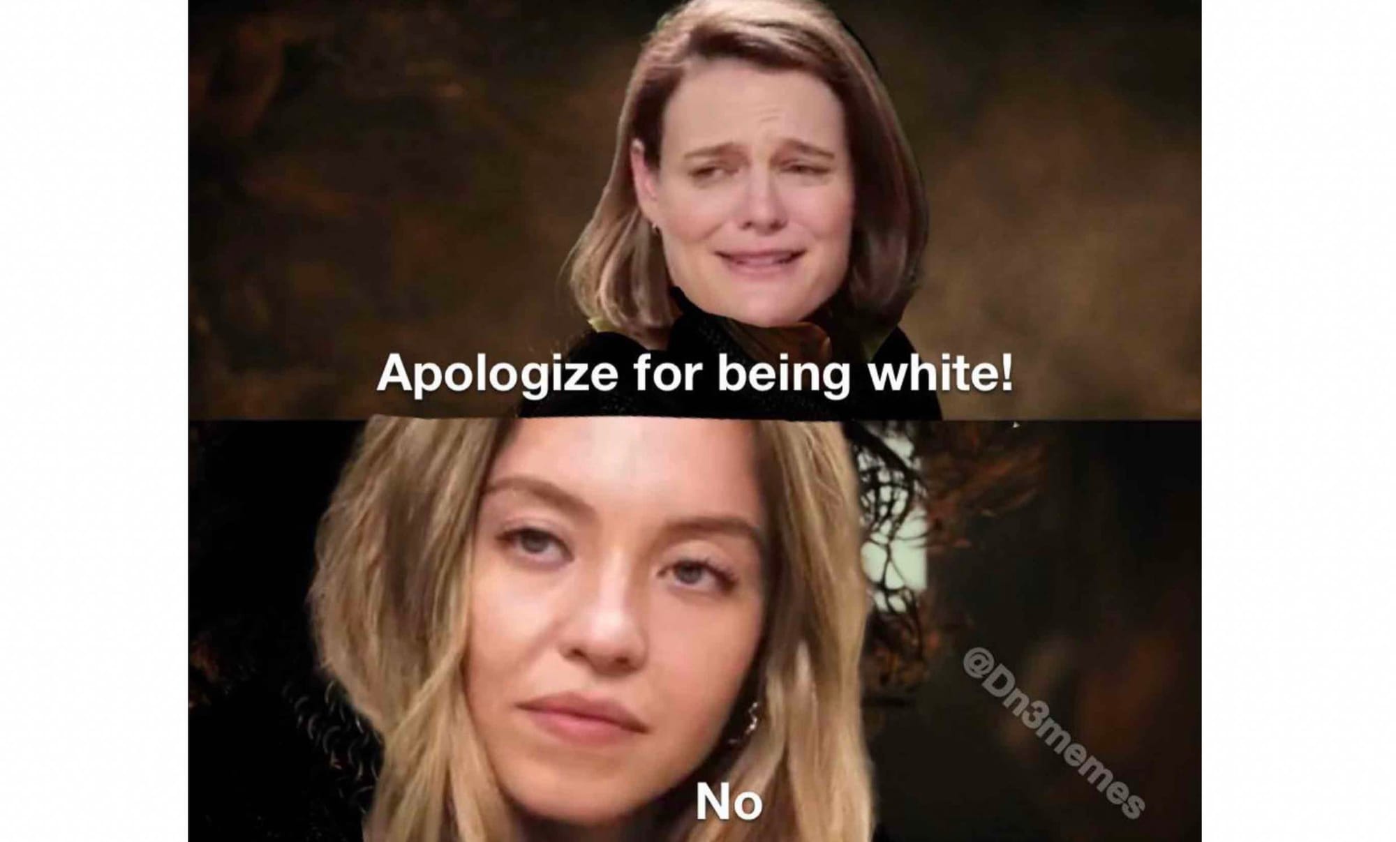 Images + Memes •529