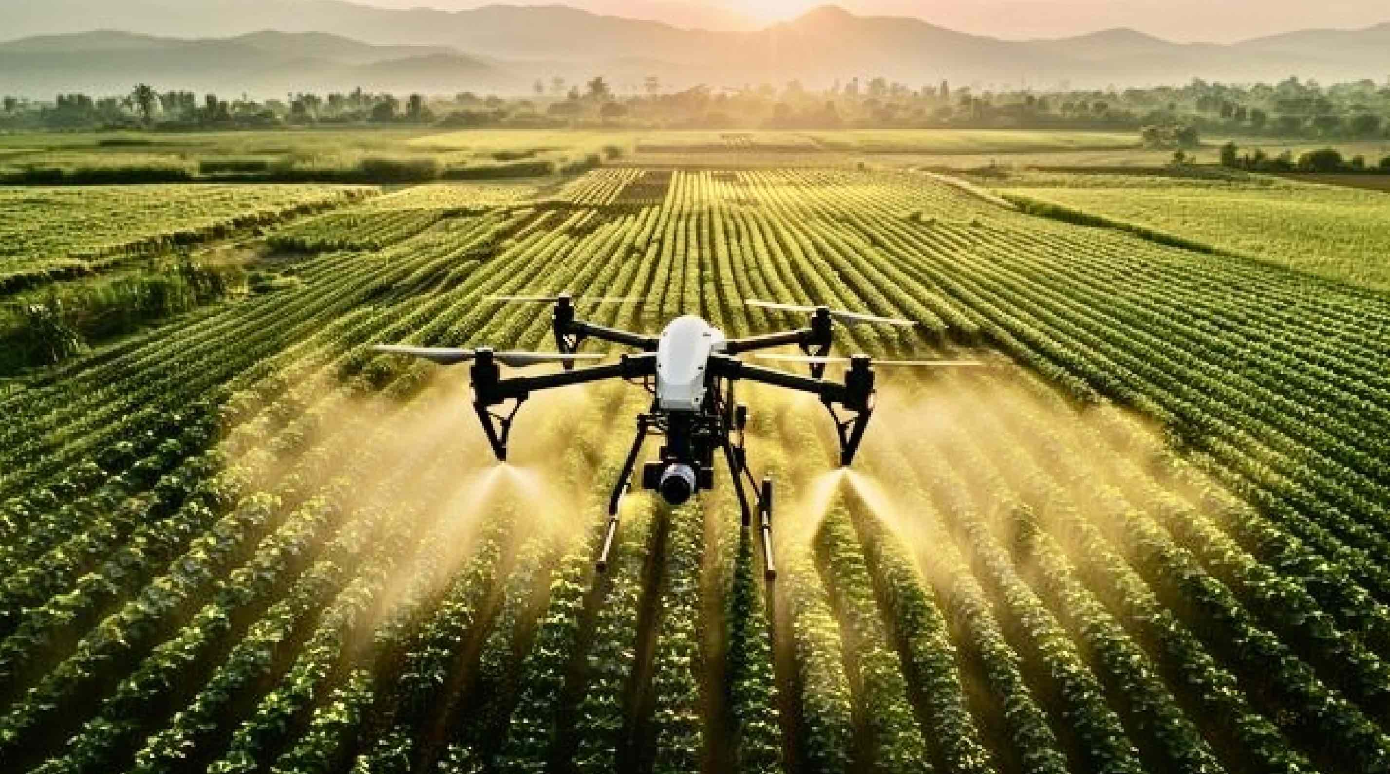 EPA Approves More Forever Chemicals For Use On Our Crops