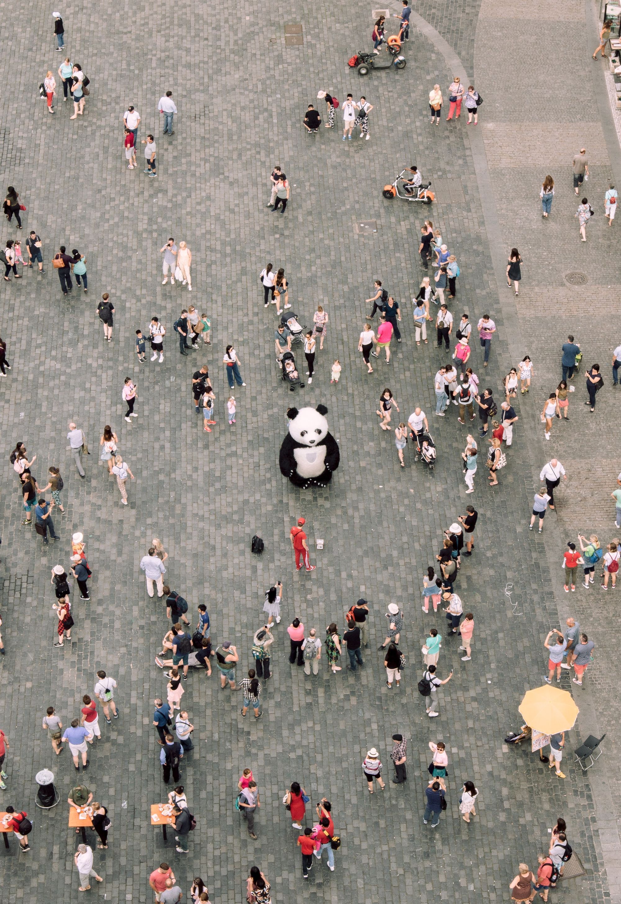 Pandas Group By Key Areas You Should Watch Out For