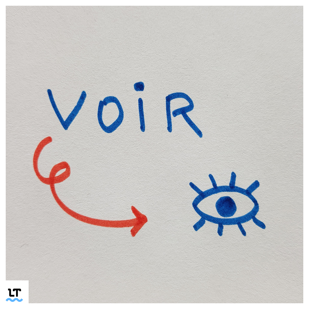 « Voire » ou « voir » | Blog Insights