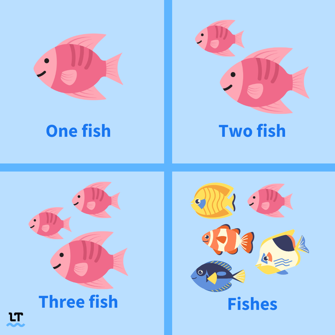What Is The Plural Of Fish 