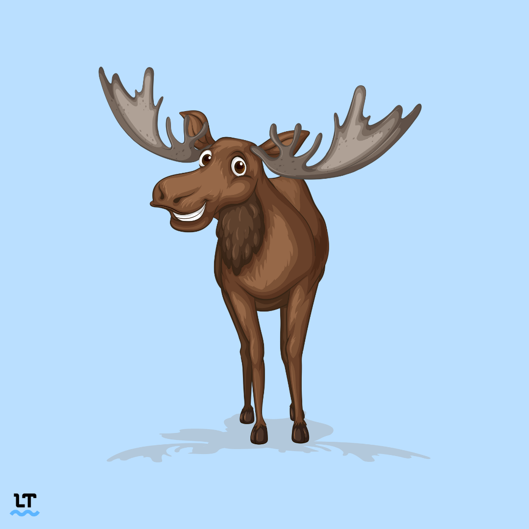 What Is The Plural Of Moose Moose Mooses Or Meese 