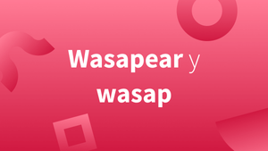 ¿Es correcto decir wasapear y wasap?