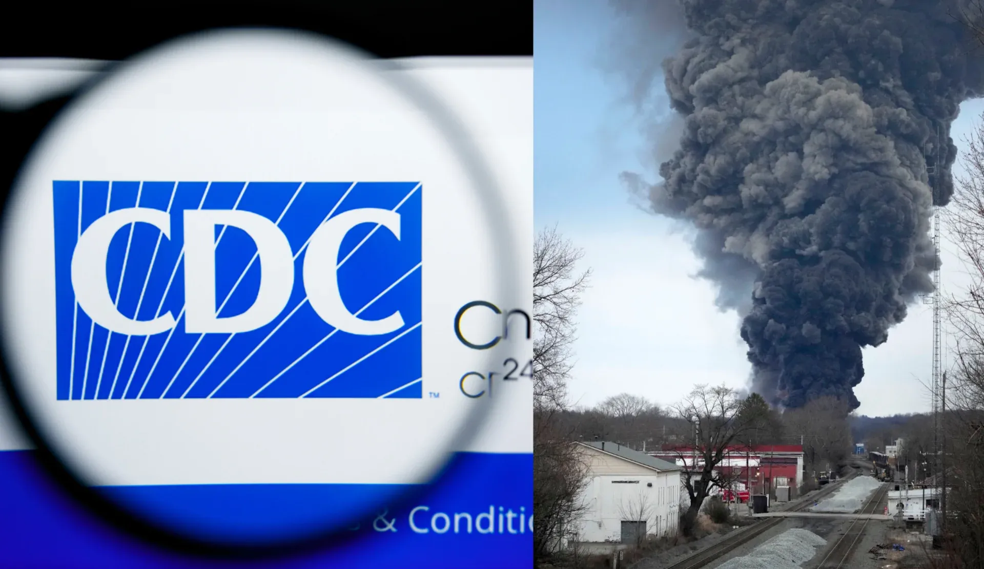 CDC Updates Profile For Vinyl Chloride Days Before Ohio Train ...