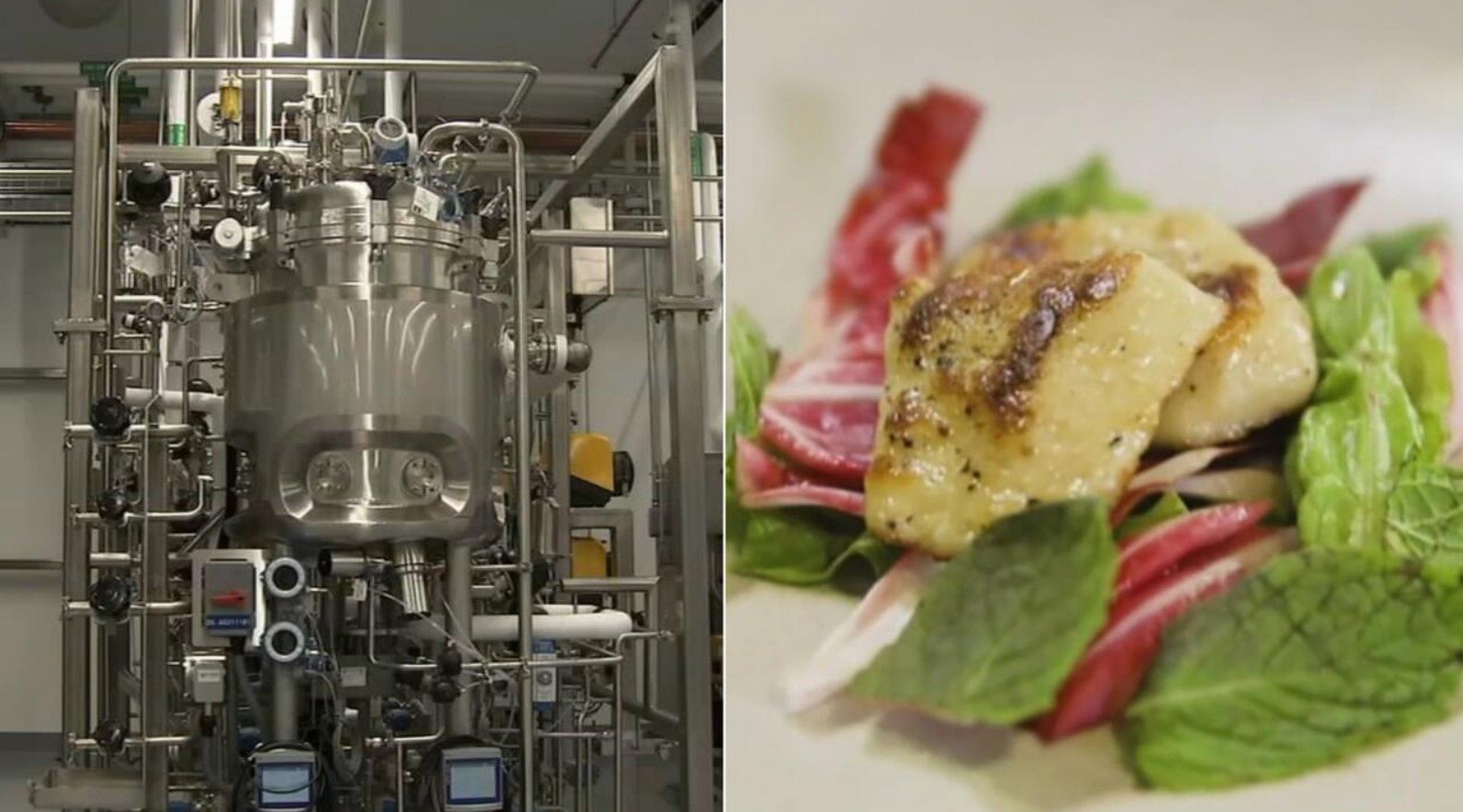 Lab-Grown Meat Gets Green Light On US Menus