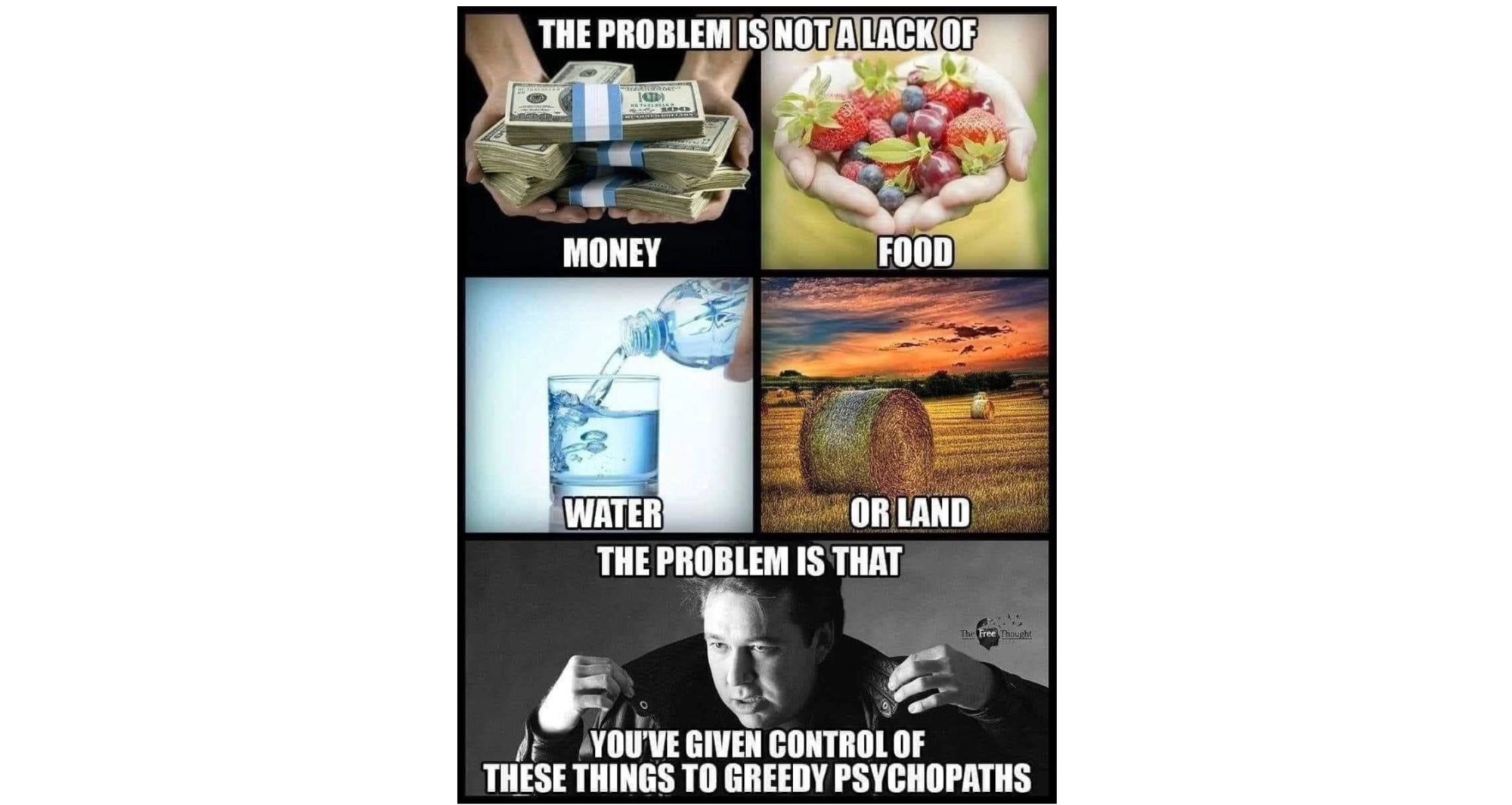 Images + Memes • 160