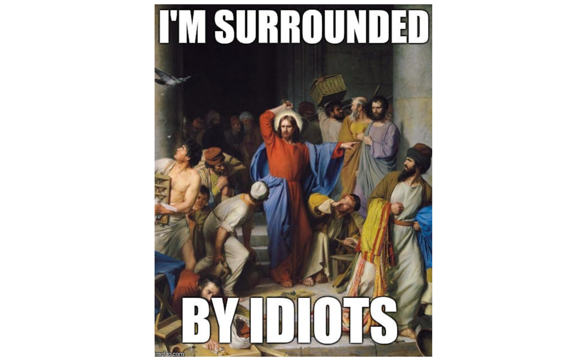 Dealing With Dopes | Surrounded By Idiots