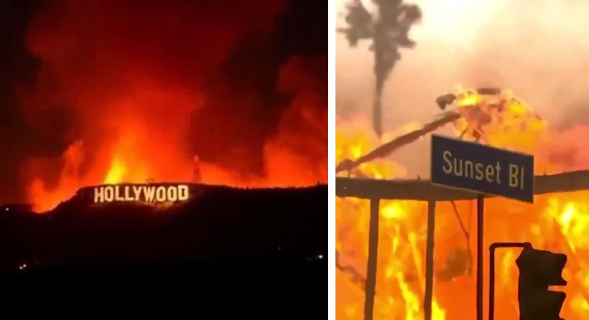 Images + Memes • 342