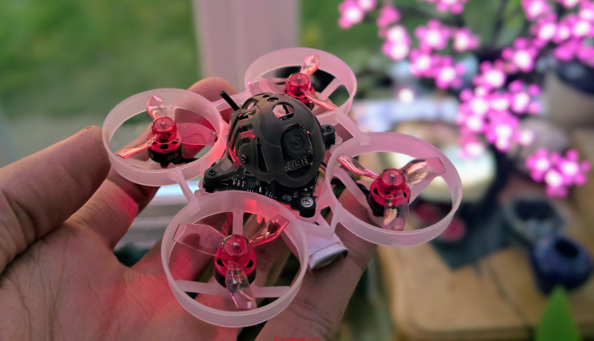 Mobula6 🐟 Tiny Whoop Review: Is it actually the best tiny whoop?