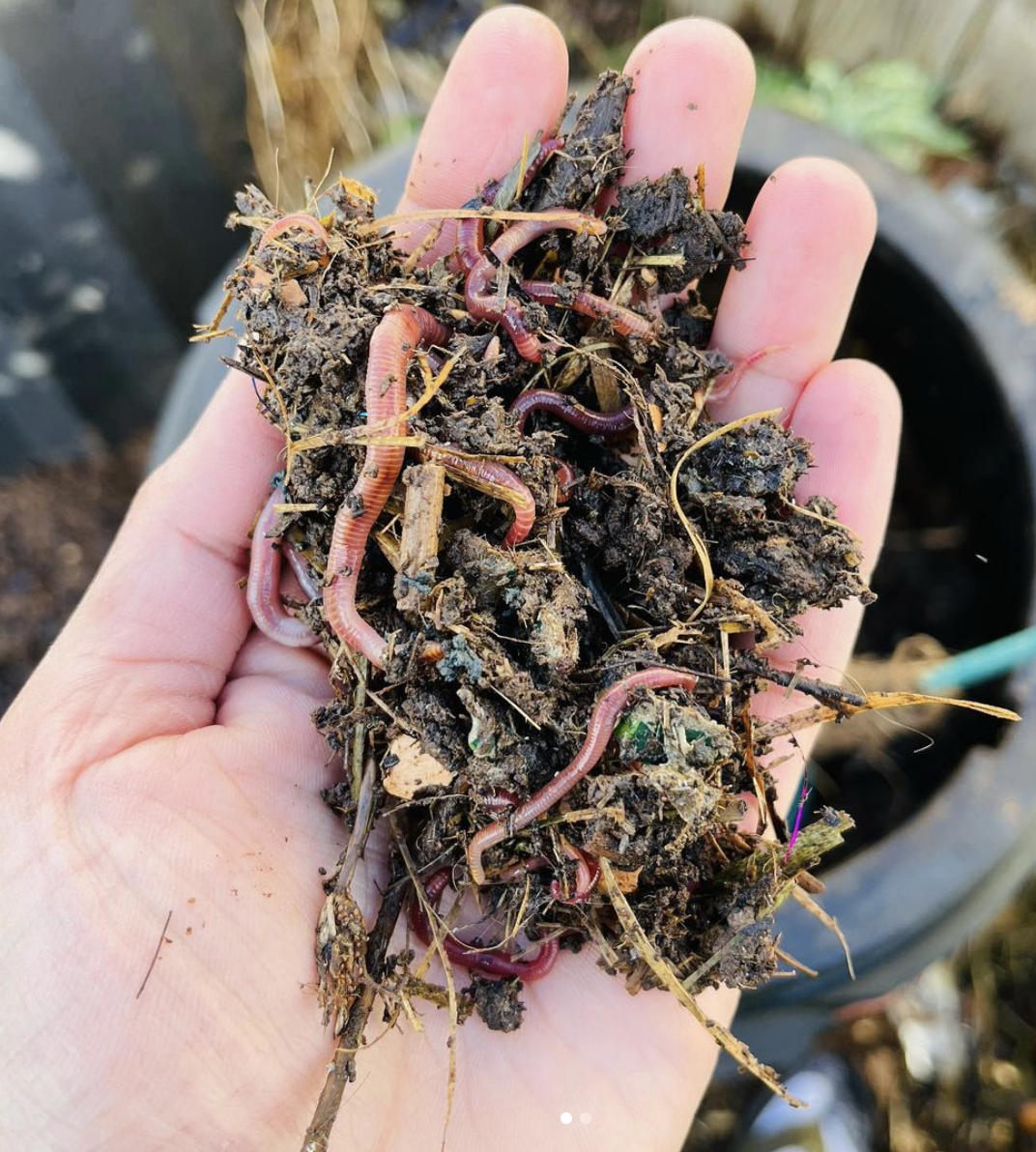 Worm Farming Business Focus: Supply and Demand · Worm People