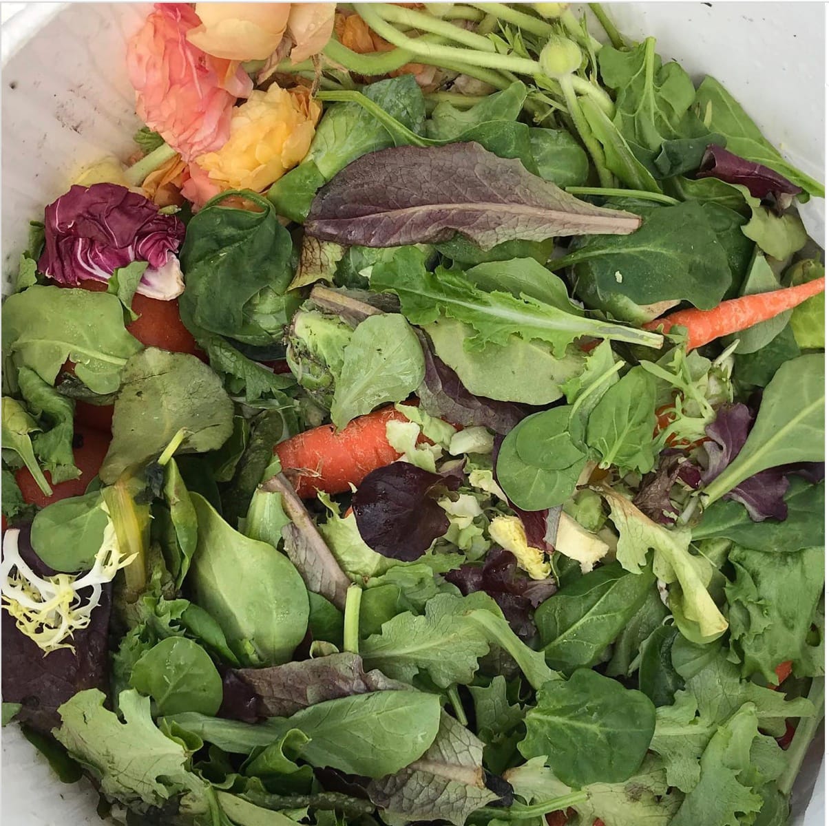 Worm Food Guide · Worm People