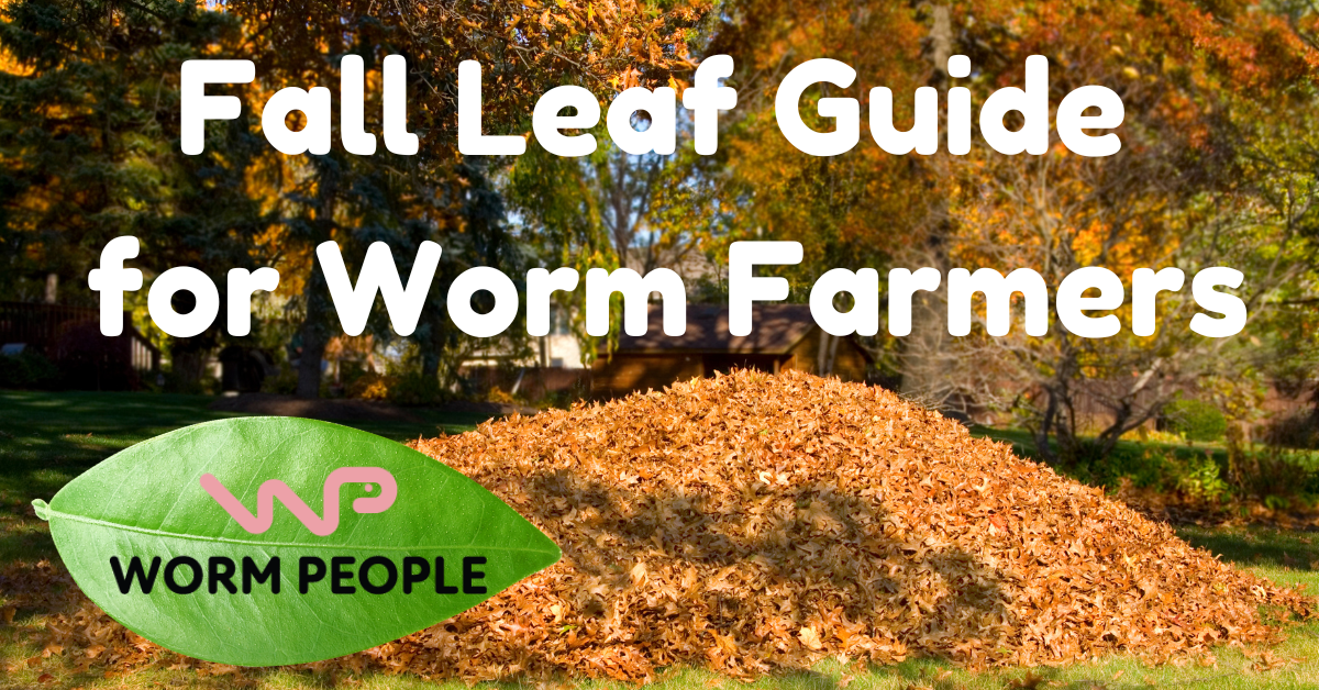 Fall Leaf Guide for Worm Farmers · Worm People
