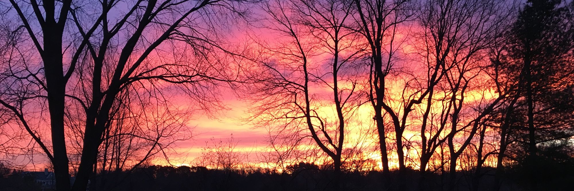 Nick Laughton - Apex Process Consultants