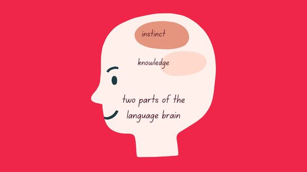 Knowledge vs Instinct— the tale of two brains.